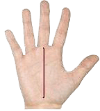 Palmistry calculator - vedic palmistry to know your future